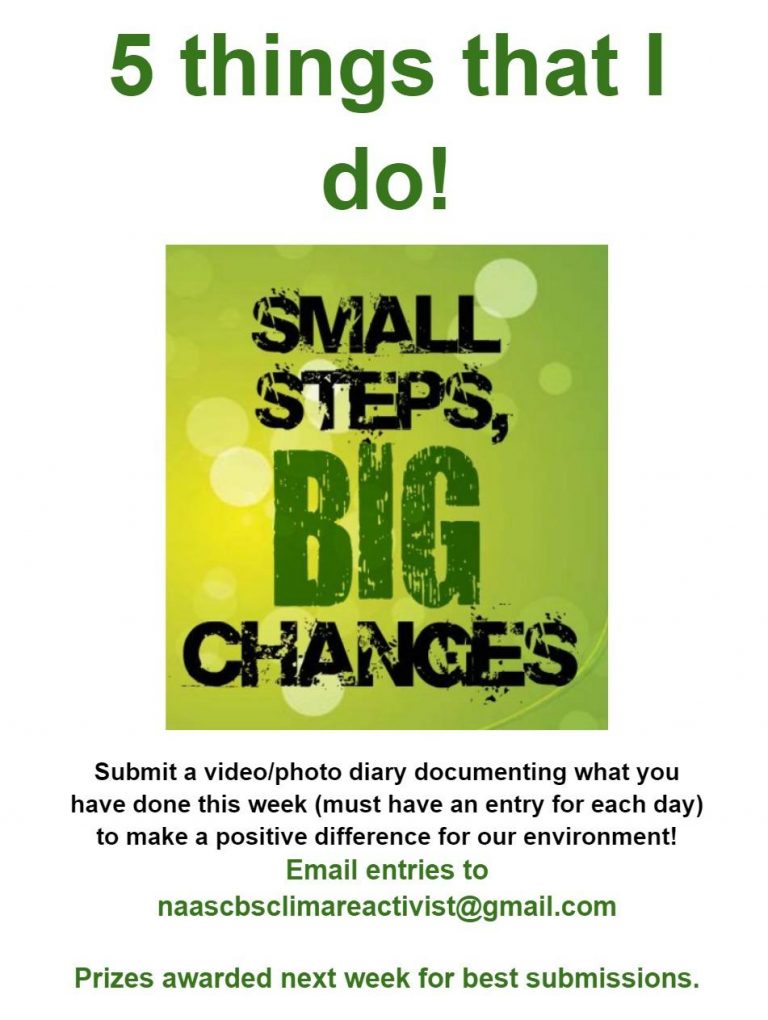 Science Week Competitions - Naas CBS