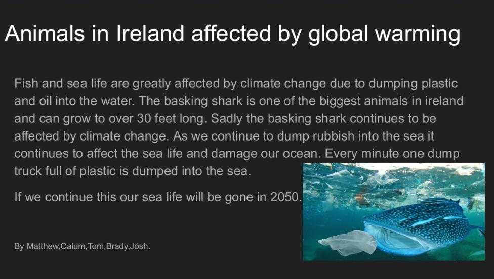 2D Civics Research - Naas CBS