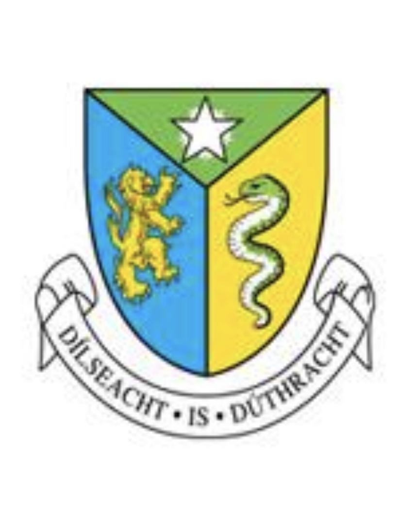 Final Assembly for 6th Year Students on Monday - Naas CBS