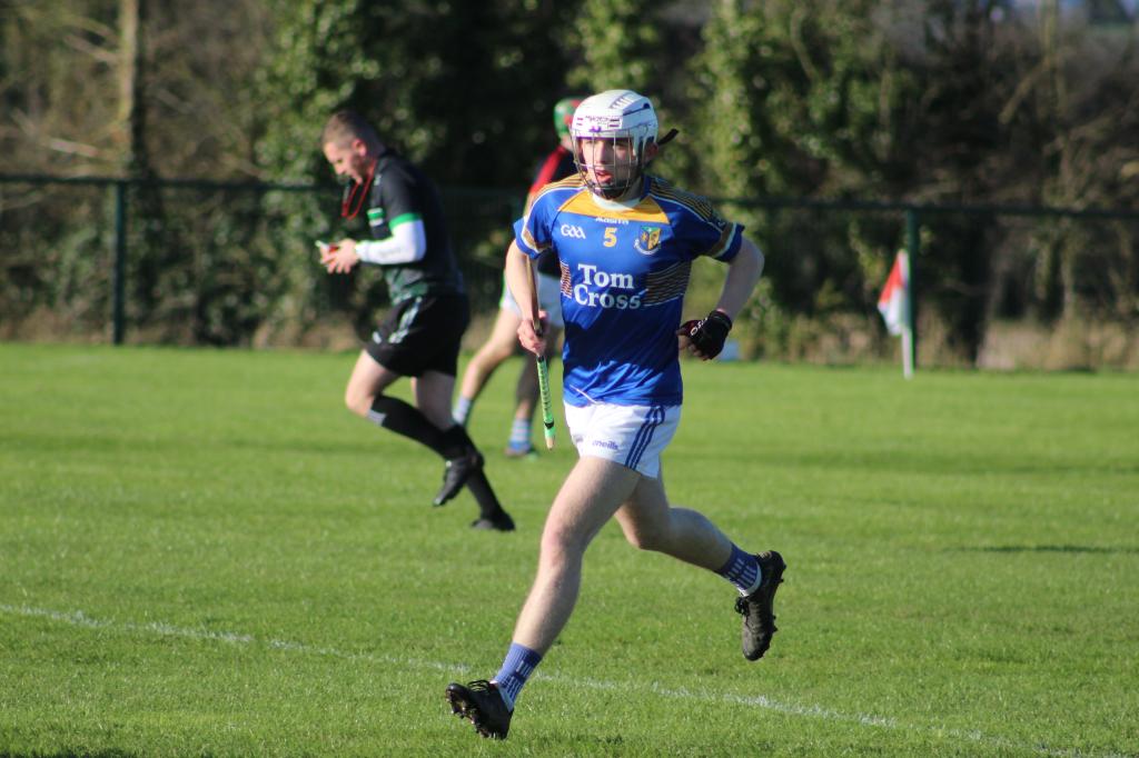 Hard Luck To Our Senior Hurling Team - Naas CBS