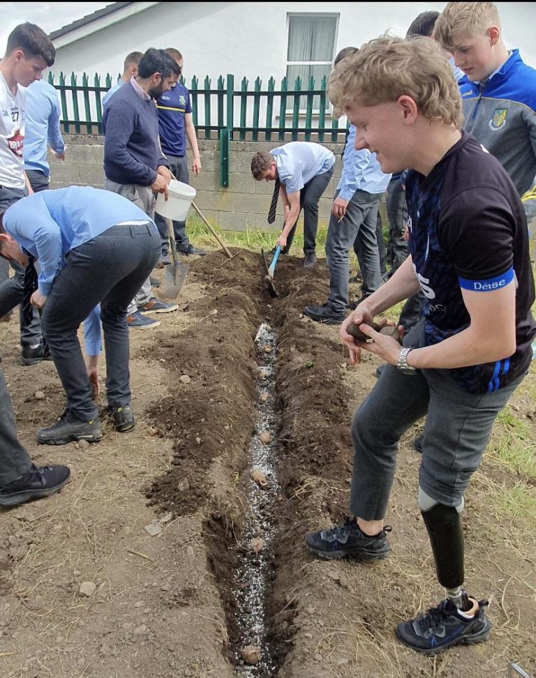 Naas CBS | Naas | Co. Kildare | Ireland