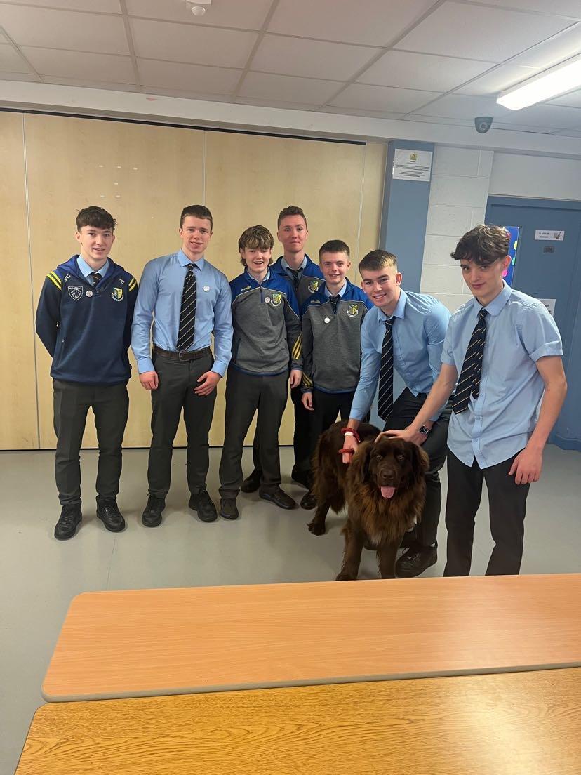 Wellbeing Week - Naas CBS