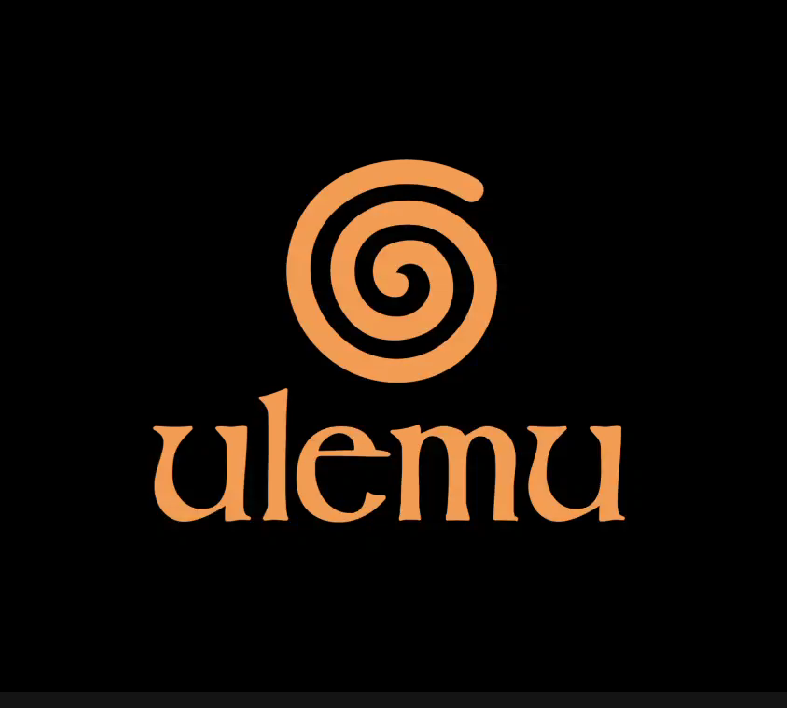 Meitheal Leaders 1st Year Football Tournament Raises €400 for Ulemu ...