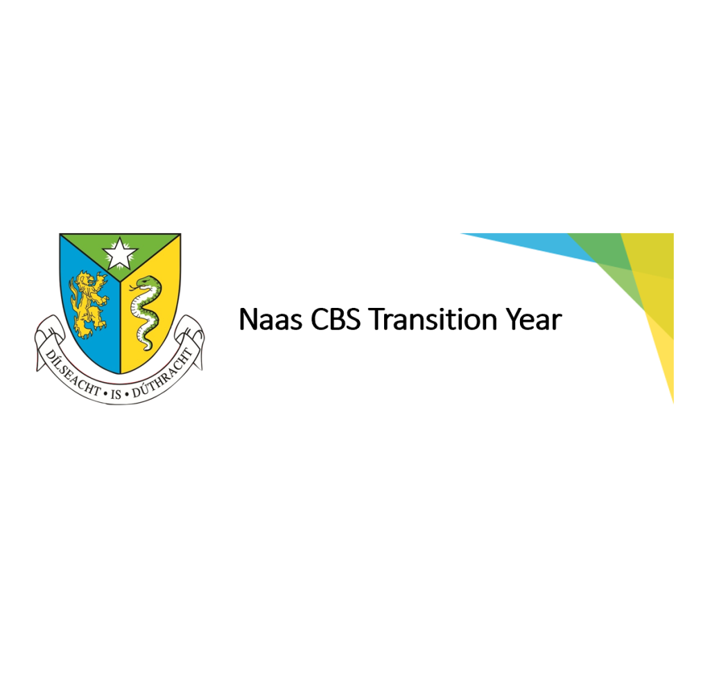 Transition Year 2025/26 – Next Steps - Naas CBS