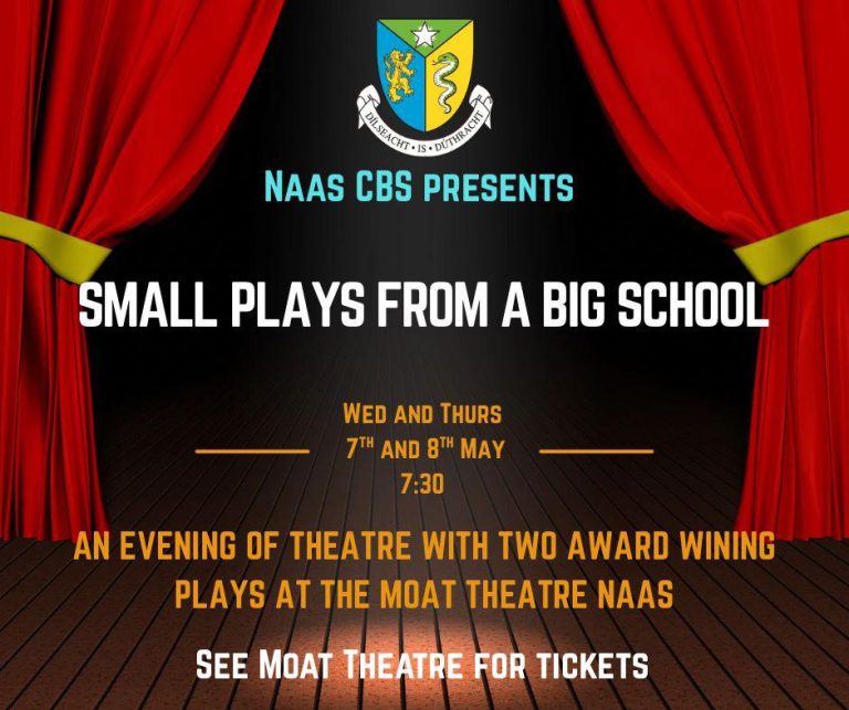 Small Plays from A Big School. - Naas CBS