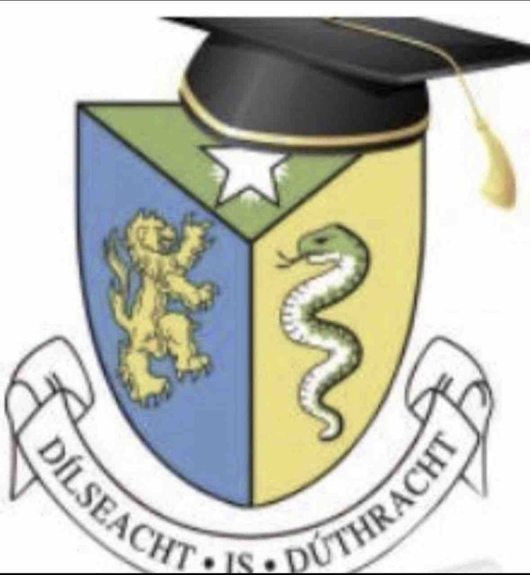Naas CBS Debs 2025 - Naas CBS
