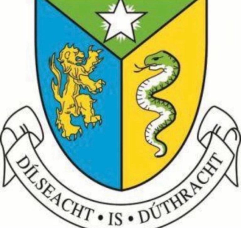 Important Notice- Junior Rugby Training Cancelled Today - Naas CBS